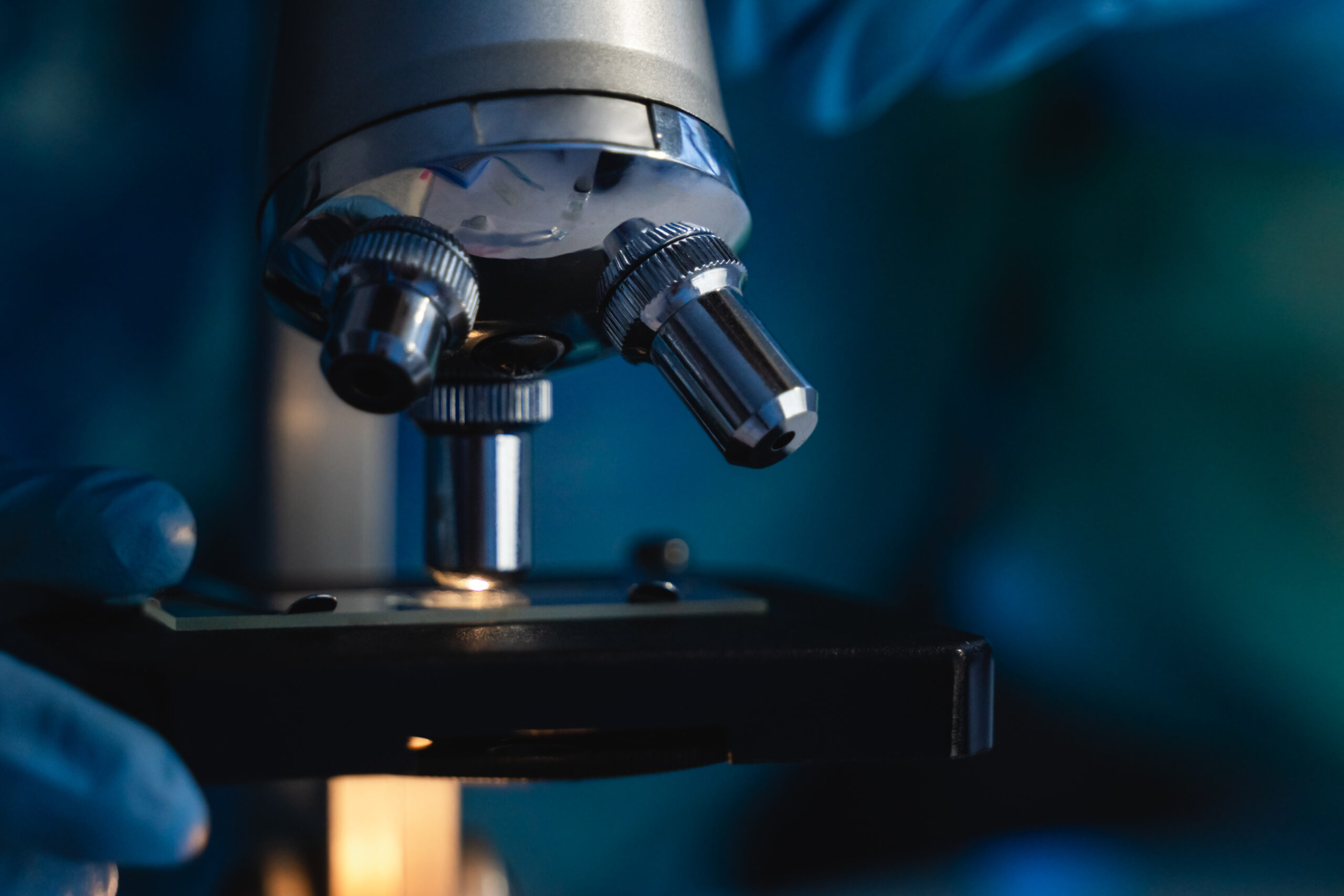 Products & Services - InfoSight Corporation